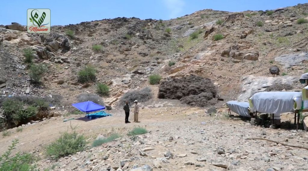 Masam’s clearing teams bring life back to many regions in Bayhan ...